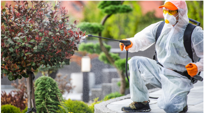 Proven Benefits of Eco Pest Control | Green City Times